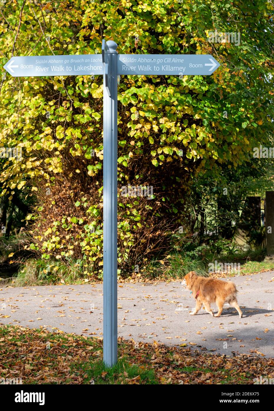 Fingerpost direction sign for Killarney river walk in Killarney ...