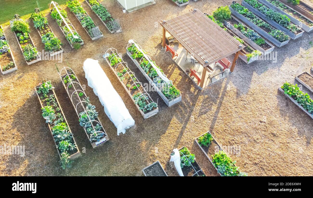 Top view community garden with pergola and row of raised planting beds ...