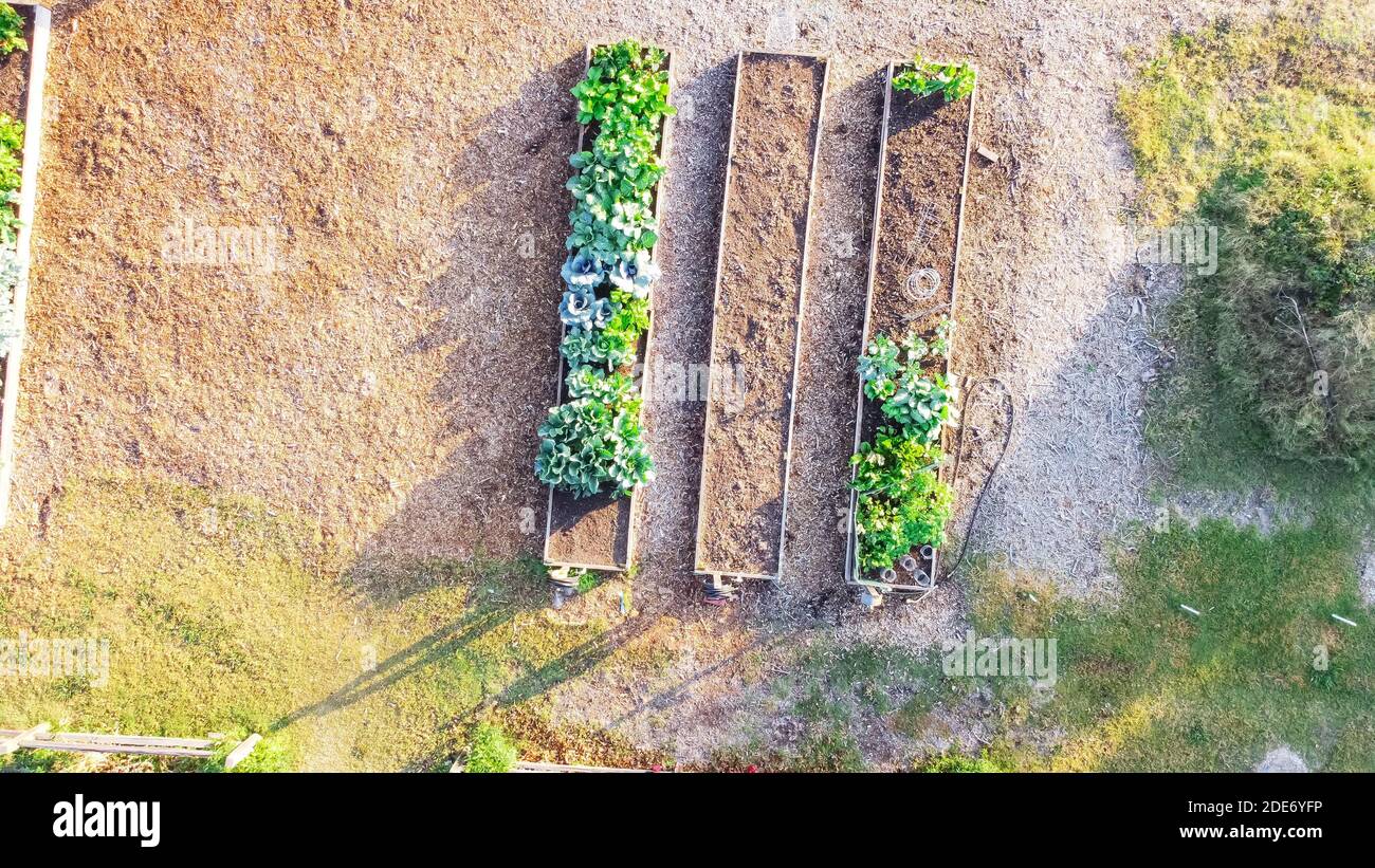 Small vegetable plot with greenhouse hi-res stock photography and ...