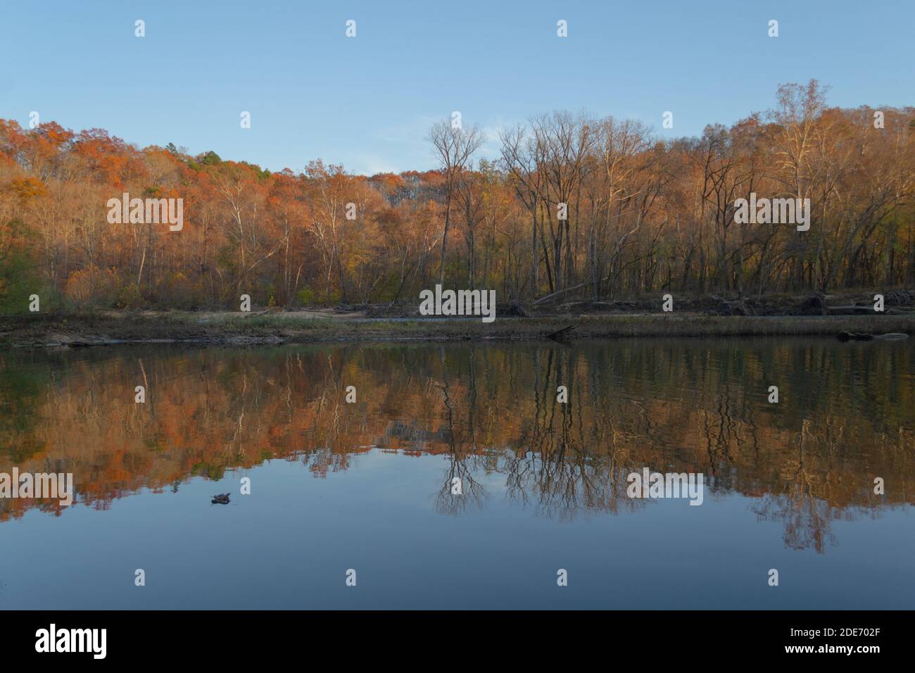 Current River in Missouri during early November Stock Photo - Alamy