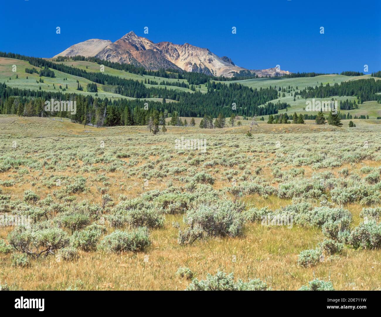 Ynp 69 hi-res stock photography and images - Alamy