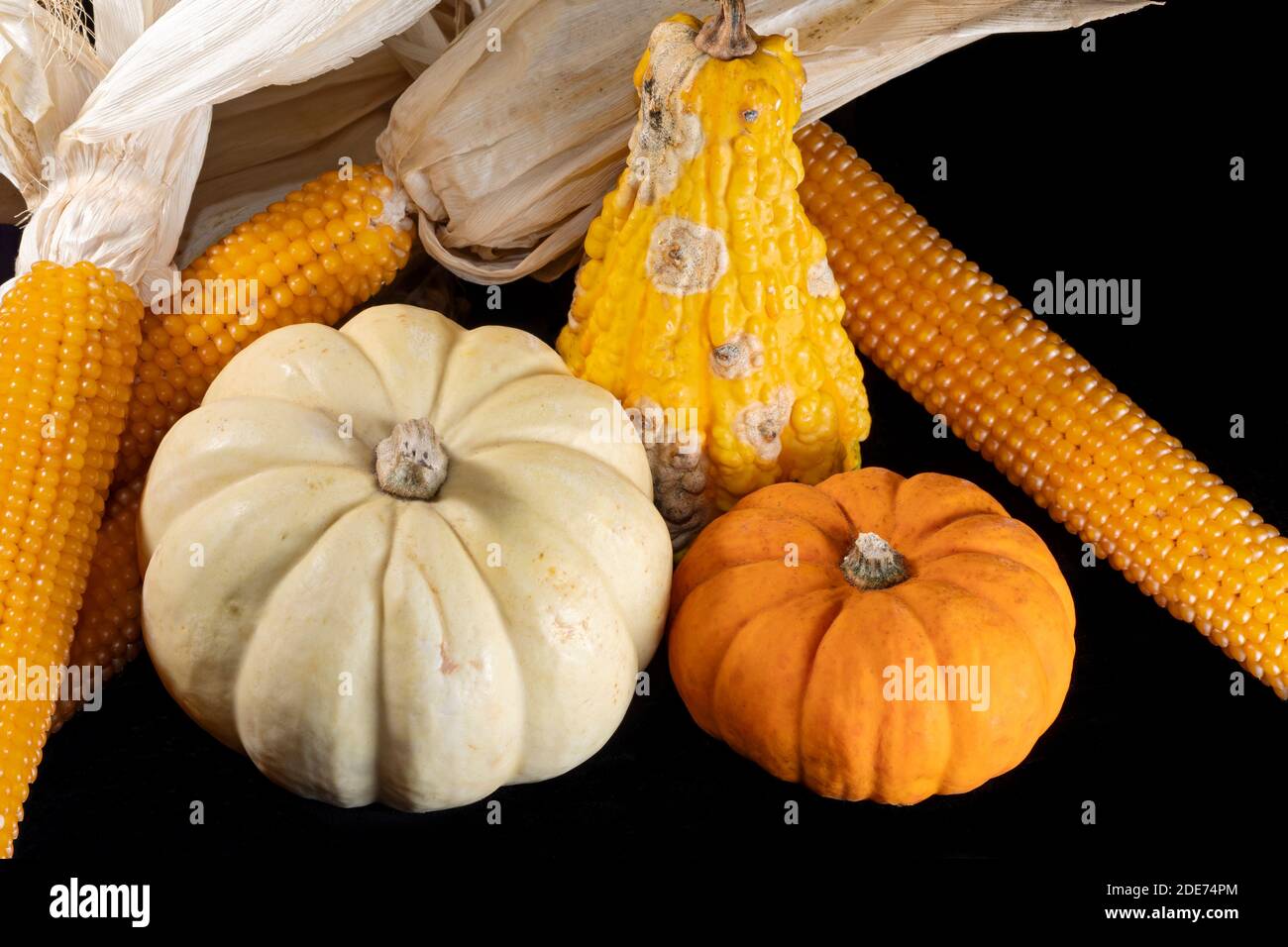 Gourd ornament hi-res stock photography and images - Alamy