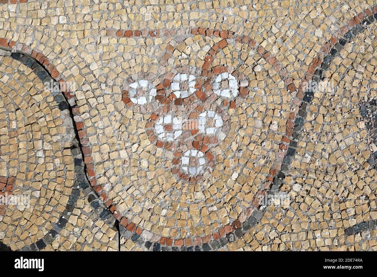 Antique floor mosaic with pattern of grapes in Chersonese Stock Photo ...