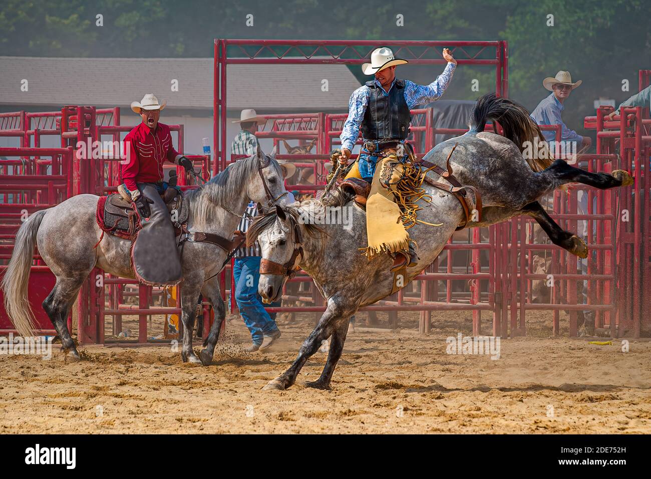 Bronc Rider High Resolution Stock Photography and Images - Alamy
