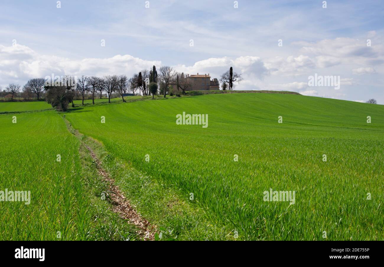 Rolling countryside around a farmhouse Stock Photo - Alamy