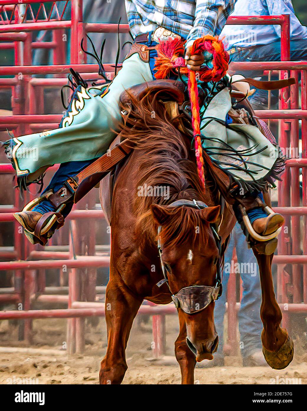 Bucking Bronco Ride High Resolution Stock Photography and Images - Alamy