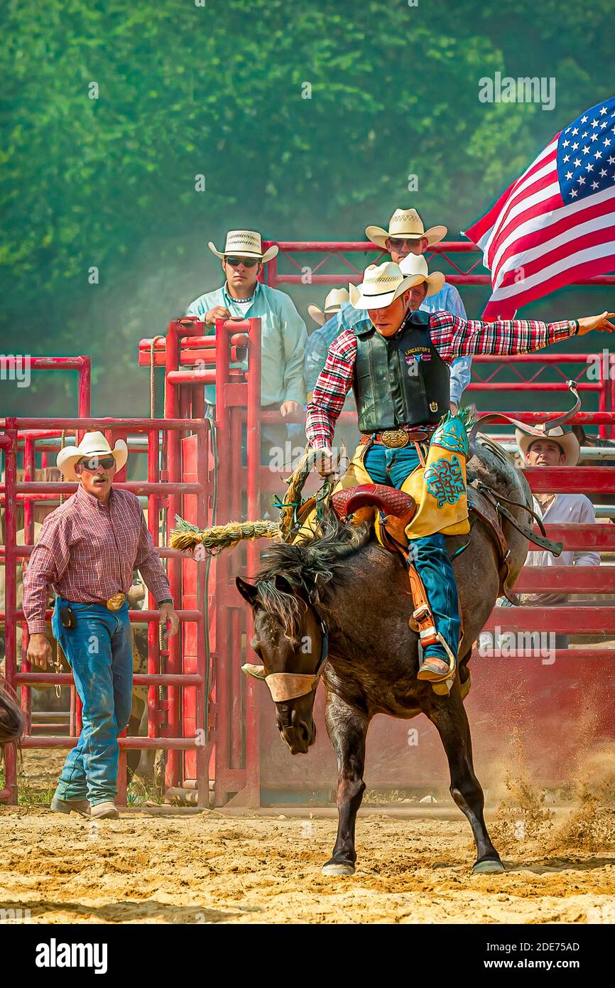 Bronc Rider High Resolution Stock Photography and Images - Alamy
