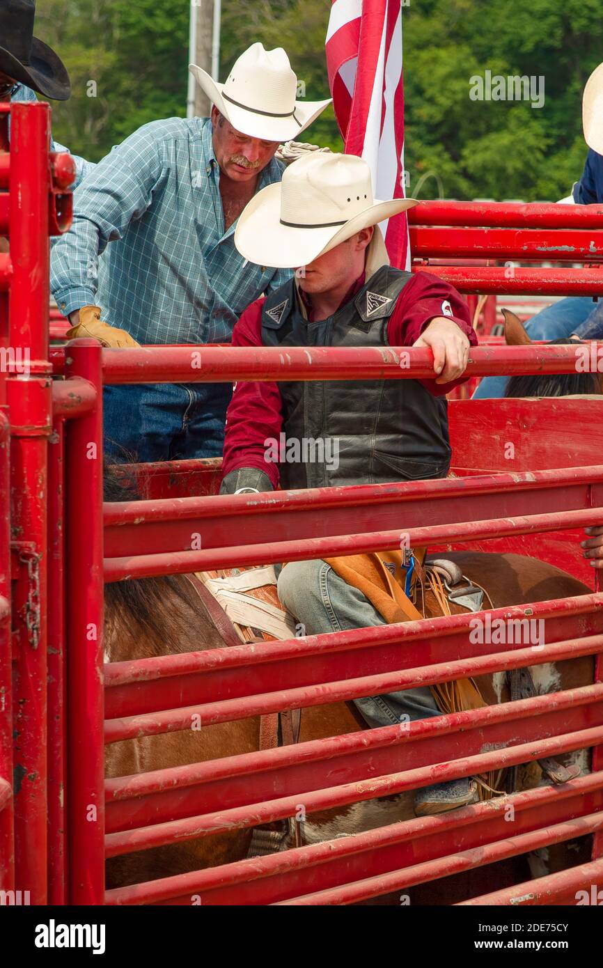 Bronc rider hi-res stock photography and images - Alamy