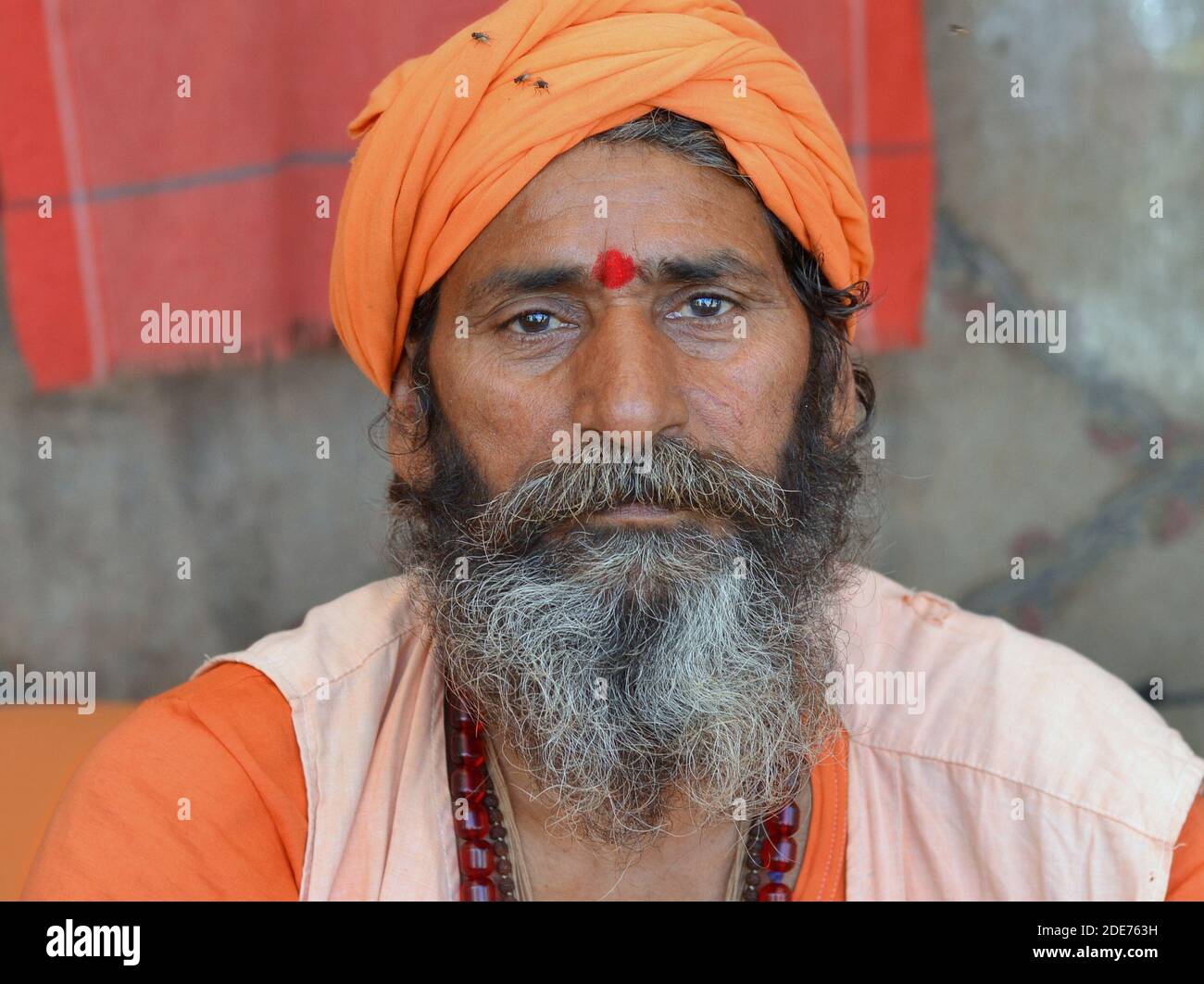 Indian Hindu holy man (sadhu, baba, guru) with three flies on his ...