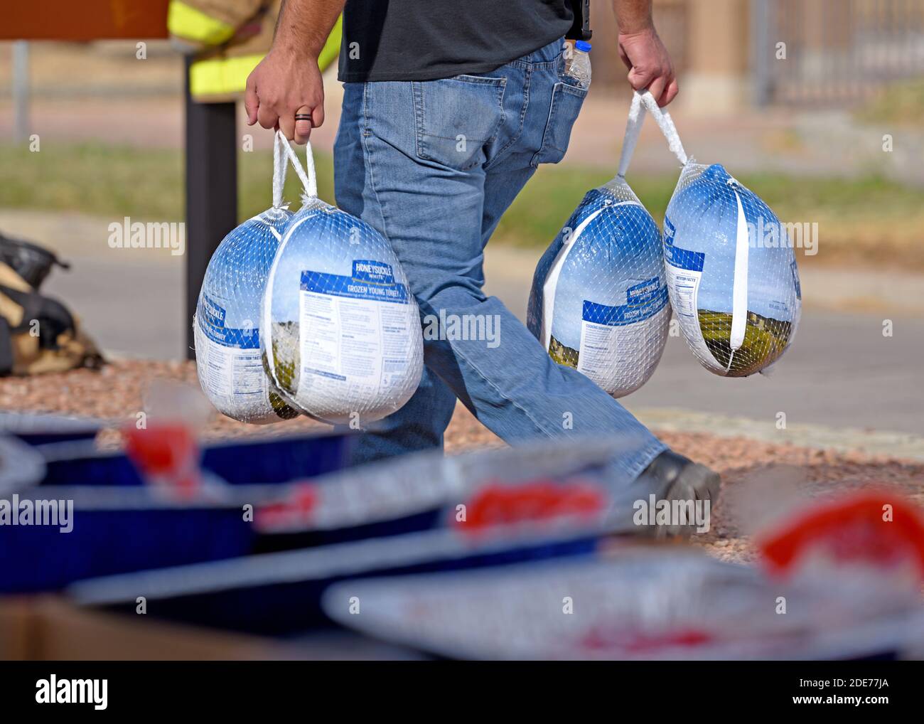 Volunteers carry Thanksgiving turkeys for distribution to Gold Star ...