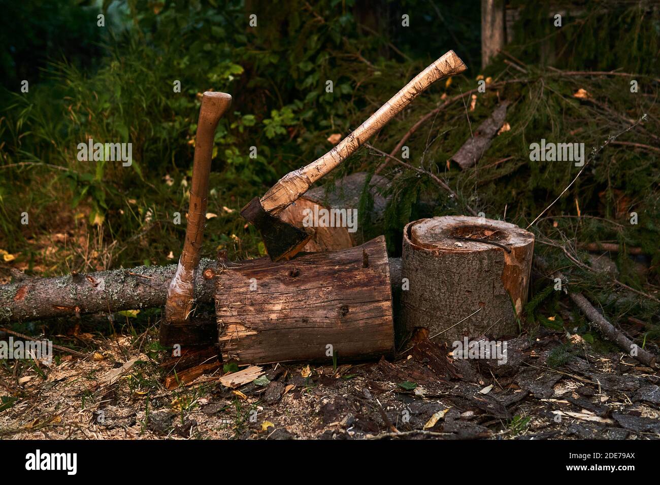 two old wood chopping axes stuck in a tree stump outdoors Stock Photo ...