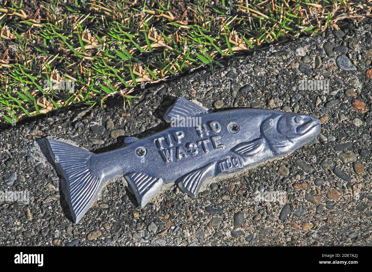 Trout drain sign, Boat Harbour Marina, Lake Taupo, Taupo, Waikato ...
