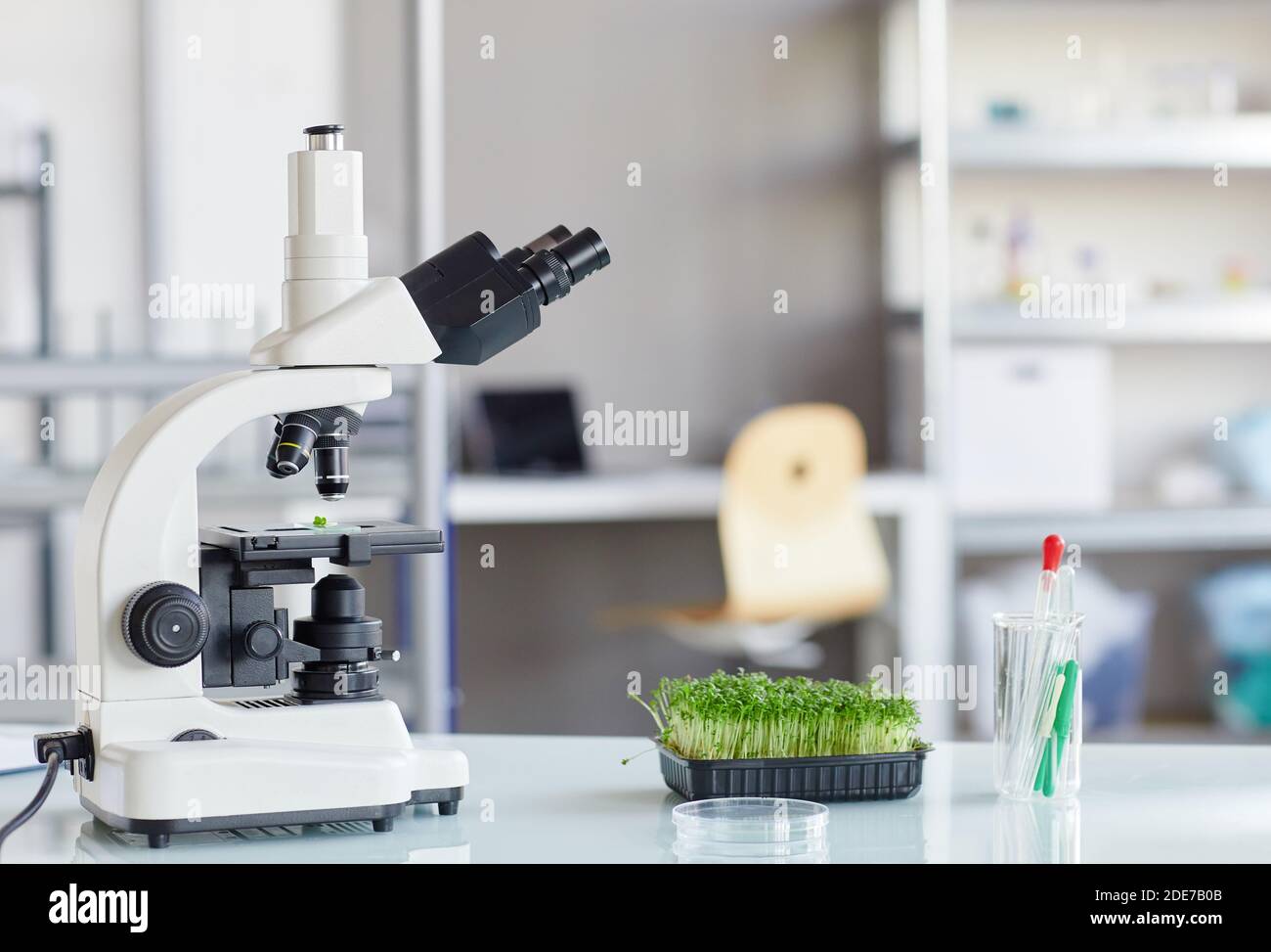 Background image of electronic microscope and plant saplings on ...
