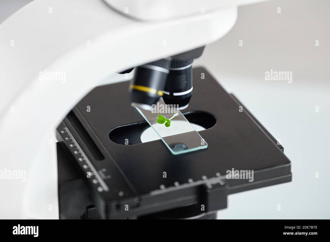 Sample microscope hi-res stock photography and images - Alamy