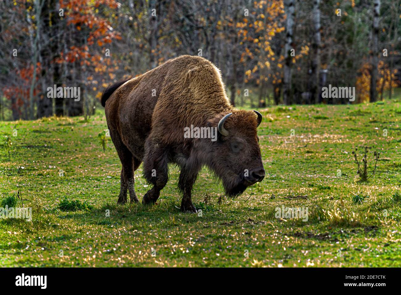 Native north american farm hi-res stock photography and images - Alamy