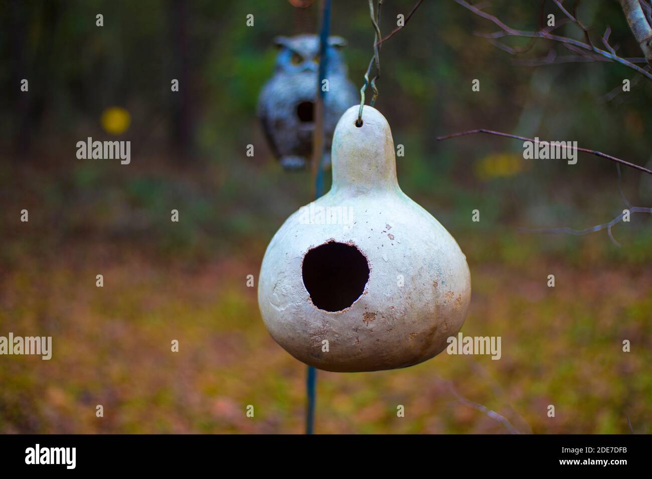 Round egg shape white bird feeder in the Fall Stock Photo - Alamy