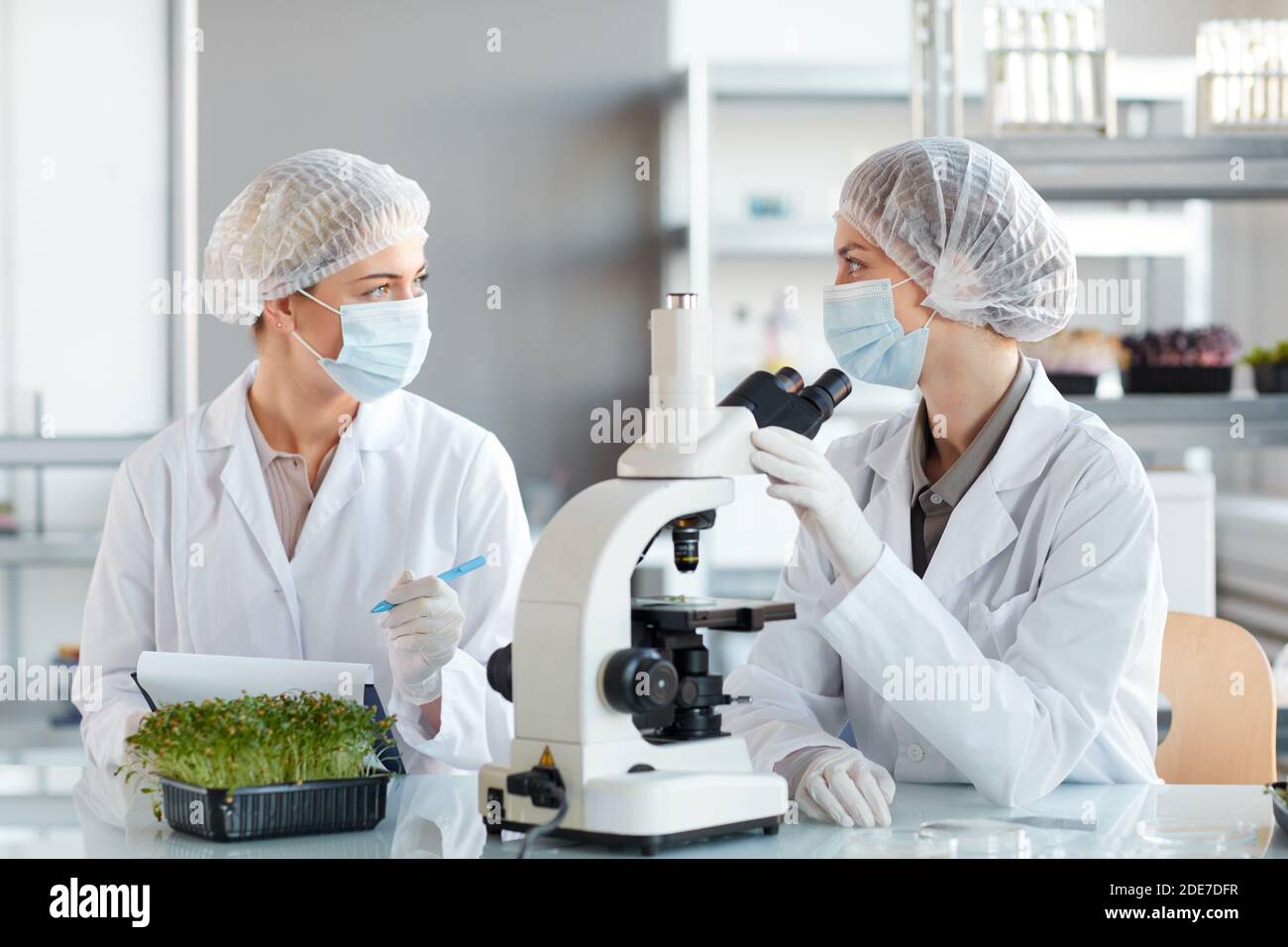 Scientists working using microscope hi-res stock photography and images ...