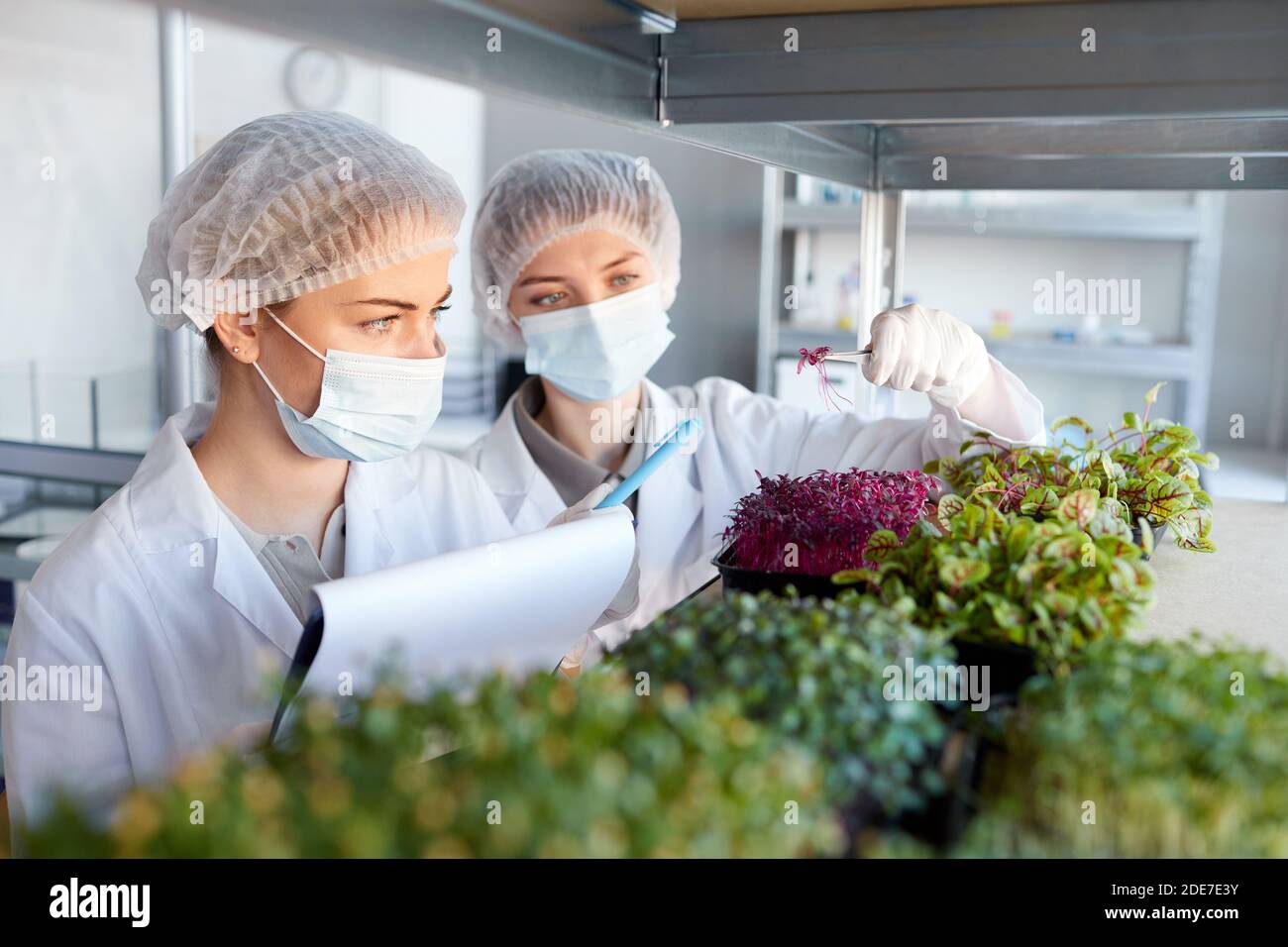 Portrait of two young female scientists wearing masks while studying ...