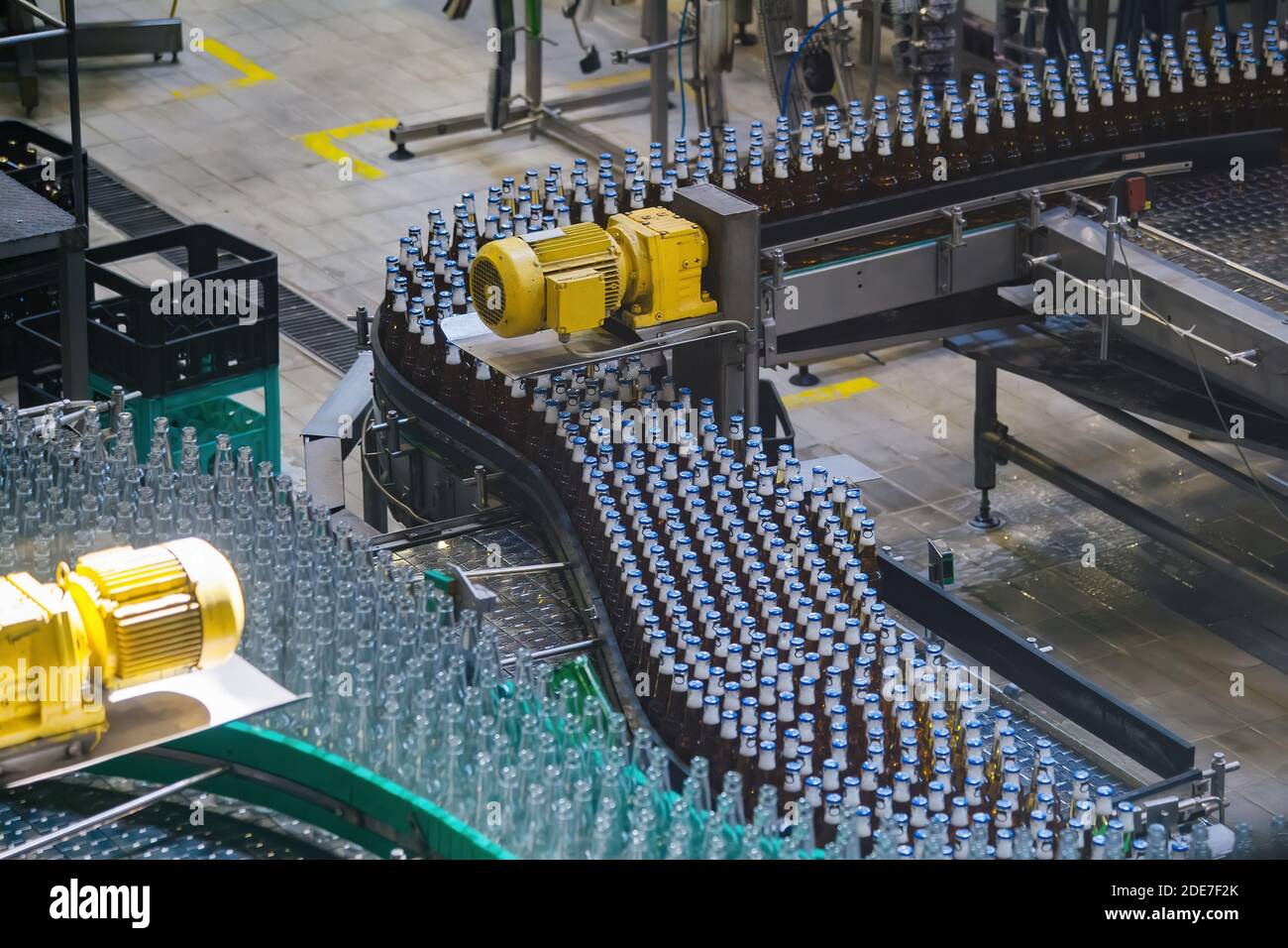 Modern automated beer bottling production line. Beer bottles moving on ...