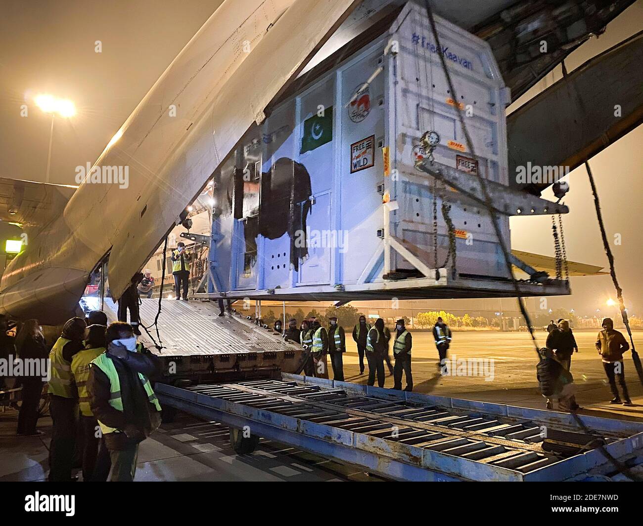 Animal crate plane hi-res stock photography and images - Alamy