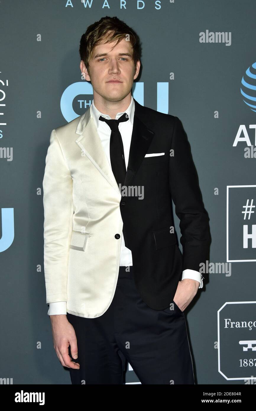 Bo Burnham attends the 24th annual Critics' Choice Awards at Barker ...