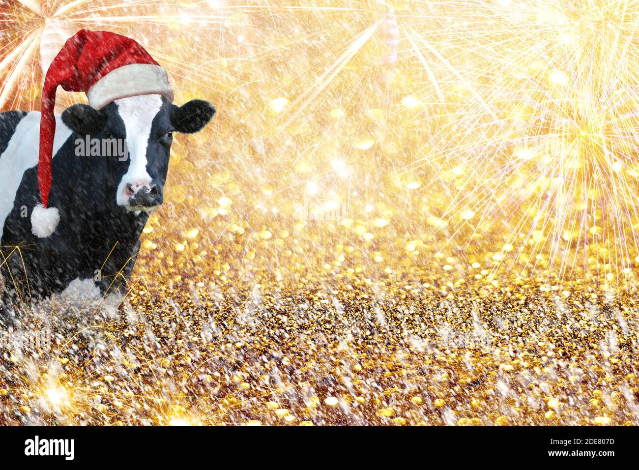 Cow fireworks new year greeting.Cow New Year greetings.Golden Glitter ...