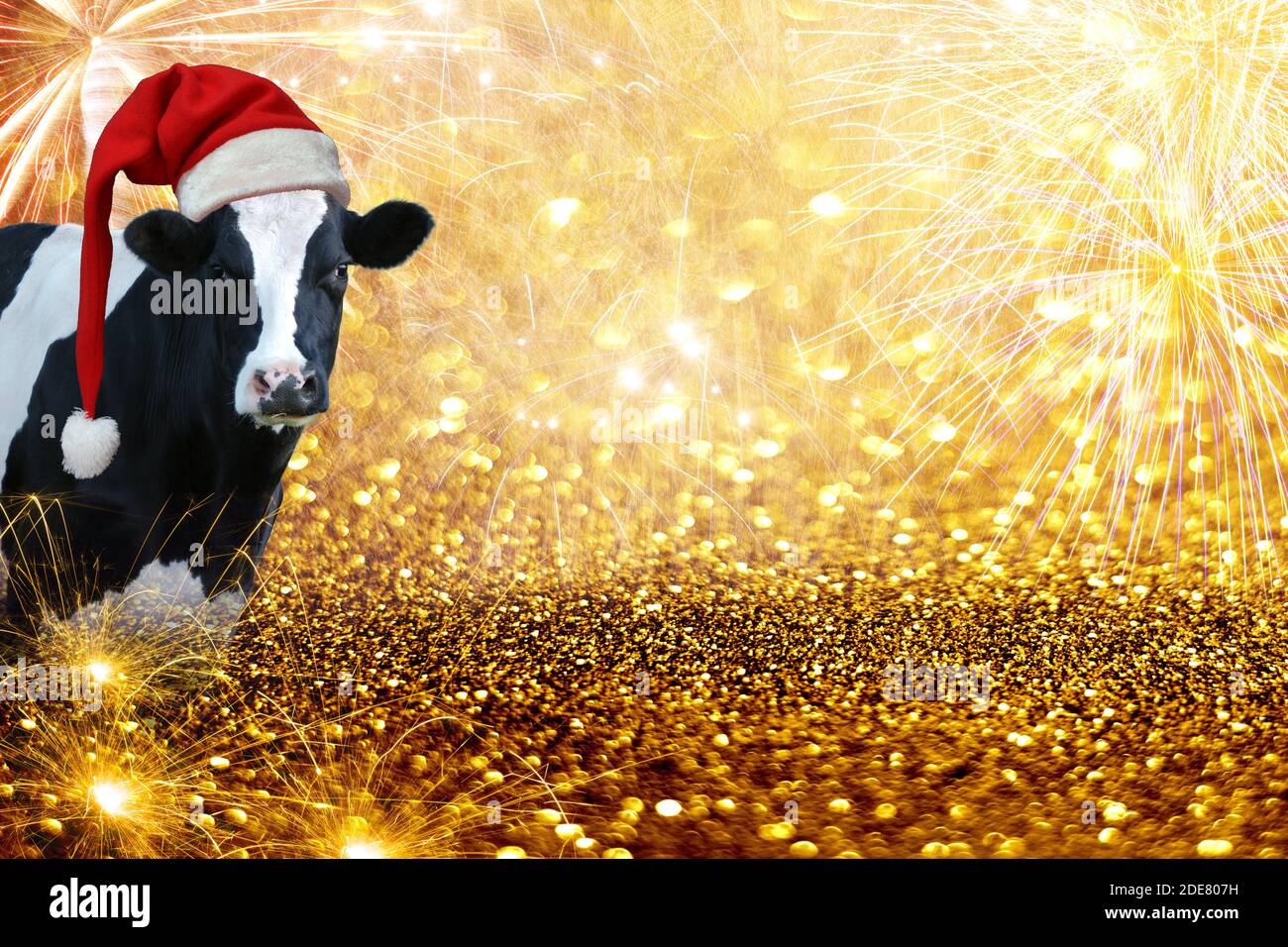 Cow fireworks new year greeting.Cow New Year greetings.Golden Glitter ...