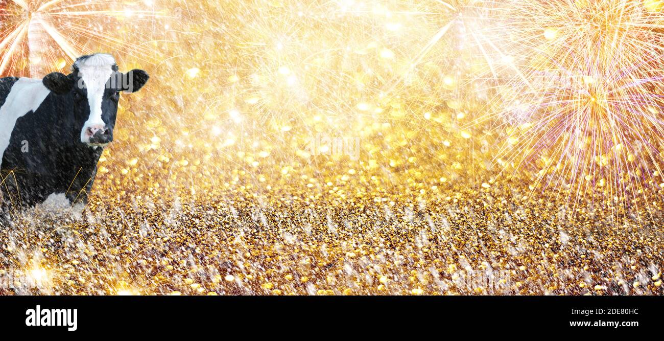 Cow fireworks new year hi-res stock photography and images - Alamy