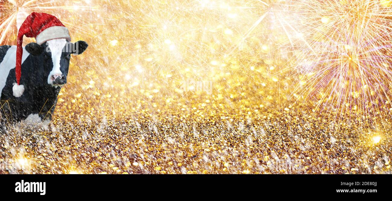 Cow fireworks new year greeting.Cow New Year greetings.Golden Glitter ...