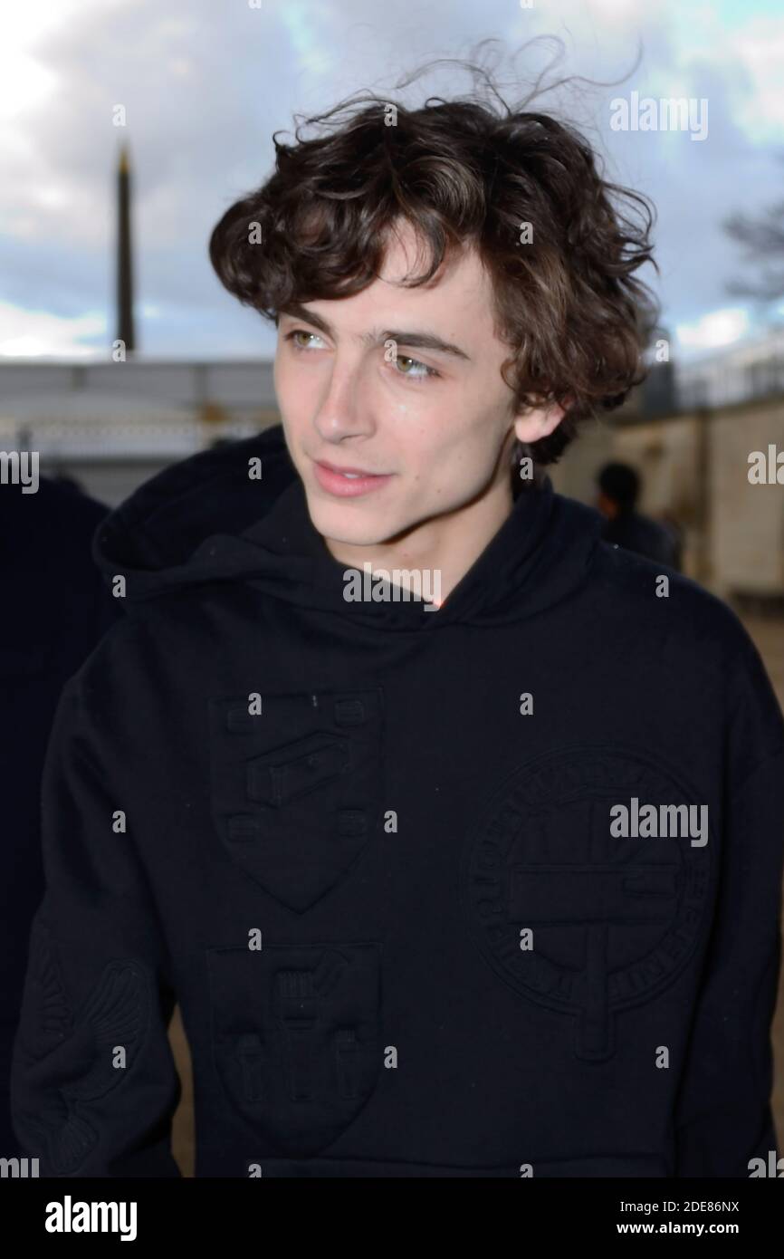 Thimothee chalamet hi-res stock photography and images - Alamy