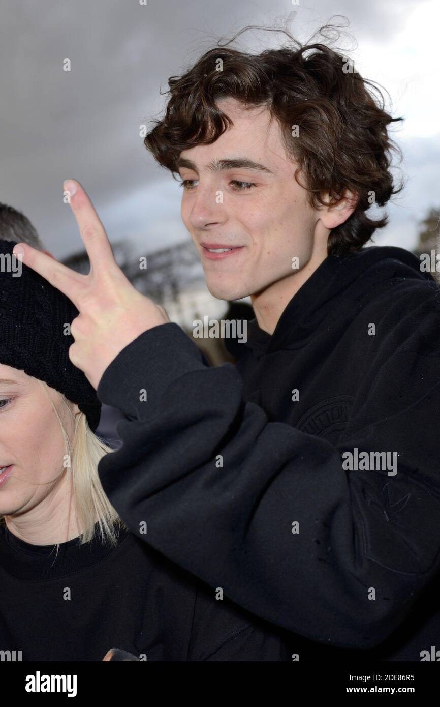 Thimothee chalamet hi-res stock photography and images - Alamy