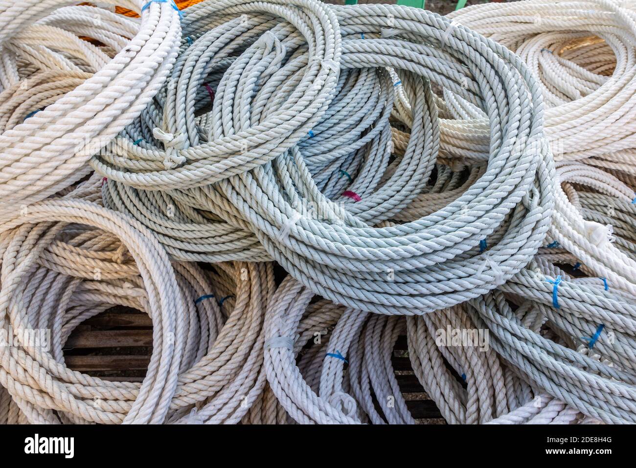 Ropes on sale at the Padre Garcia Livestock Auction Market in Batangas ...