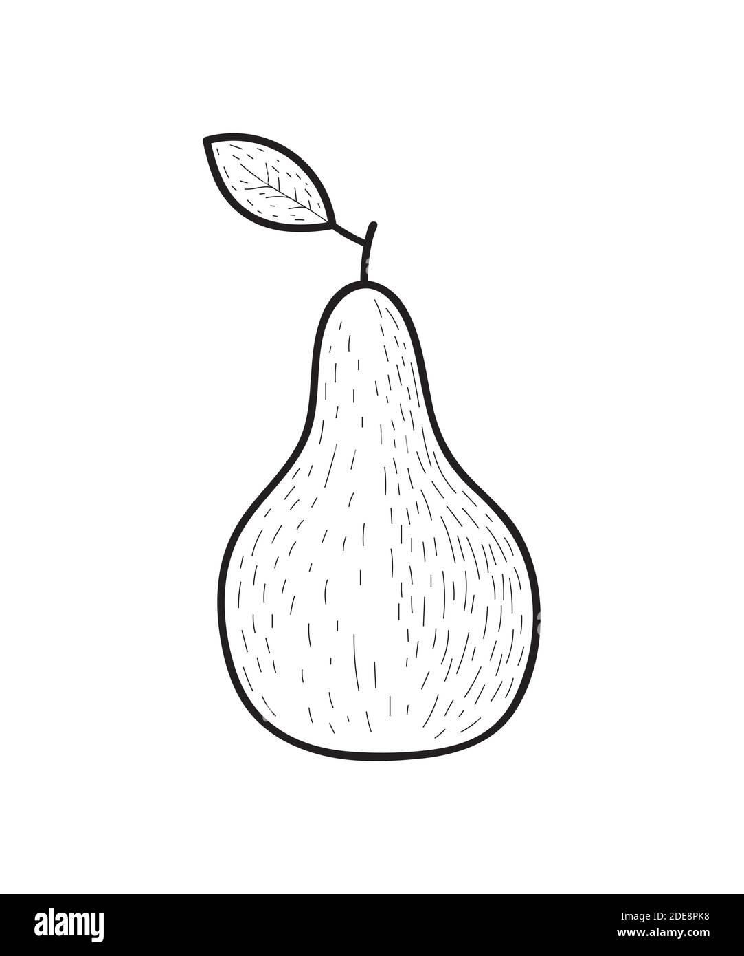 Pear, hand drawn vector illustration, sketch art Stock Vector Image ...