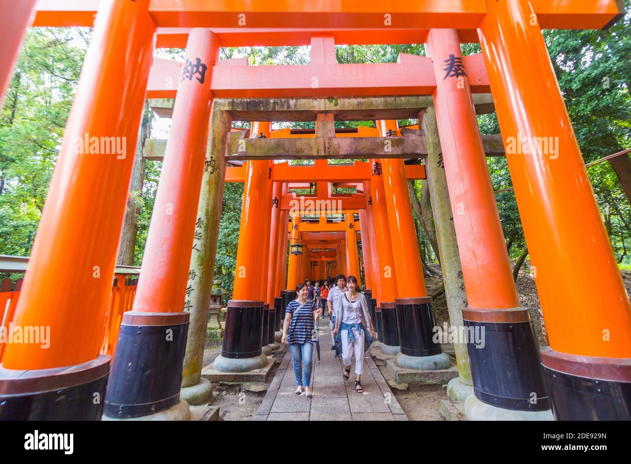 The sacred Fushimi Inari Taisha in Kyoto, Japan with its series of ...