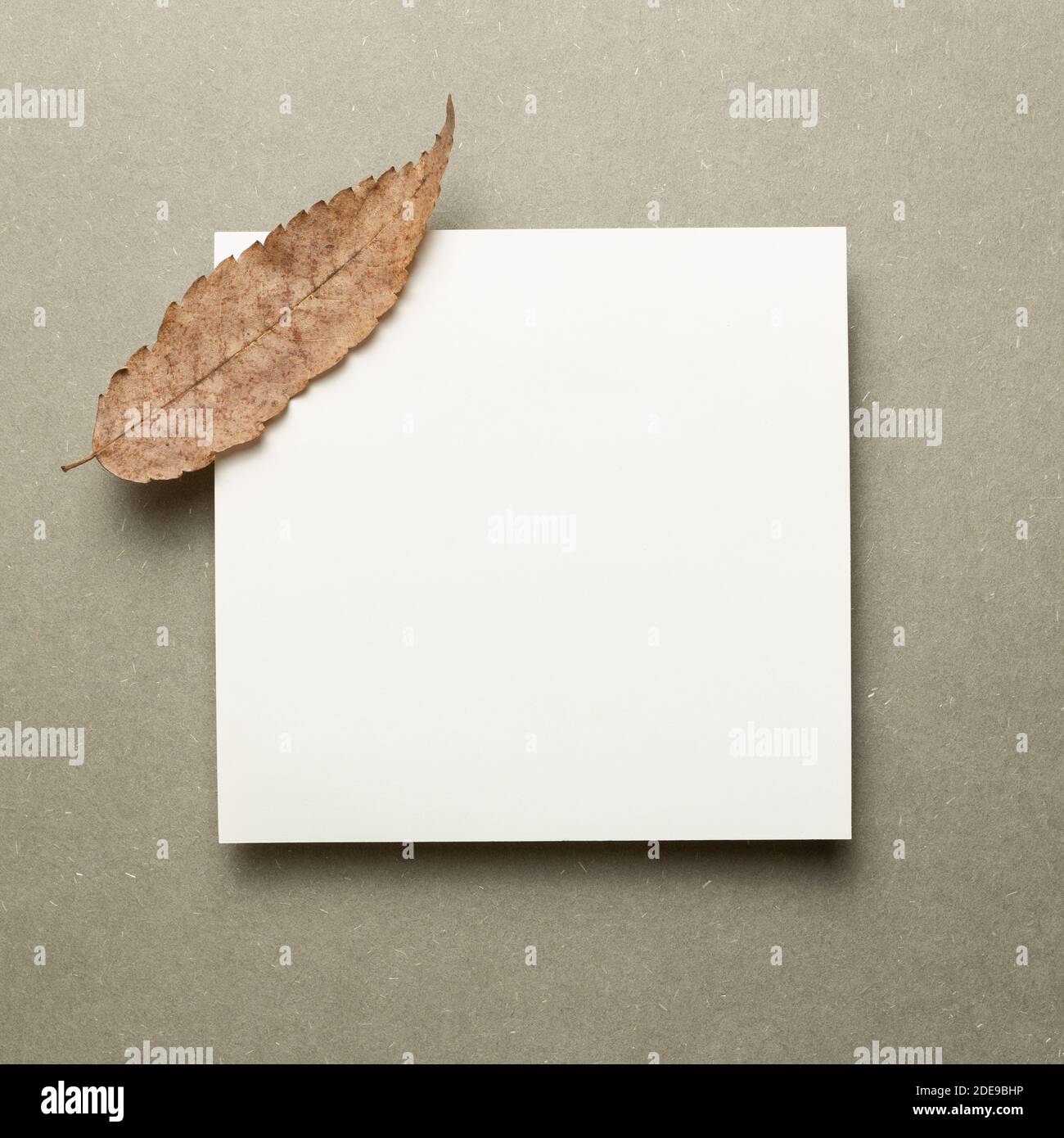 Empty memo hi-res stock photography and images - Alamy