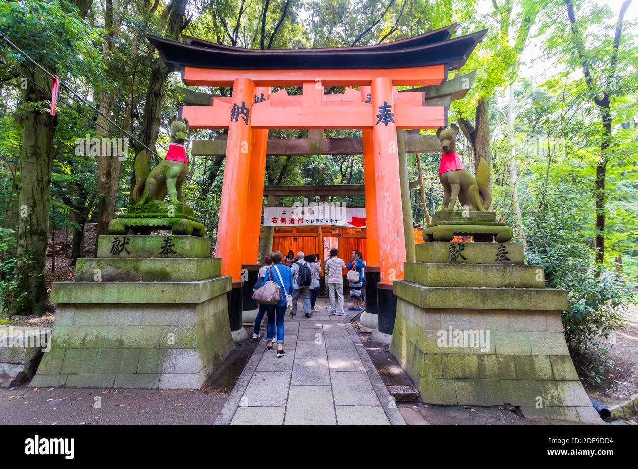 The sacred Fushimi Inari Taisha in Kyoto, Japan with its series of ...