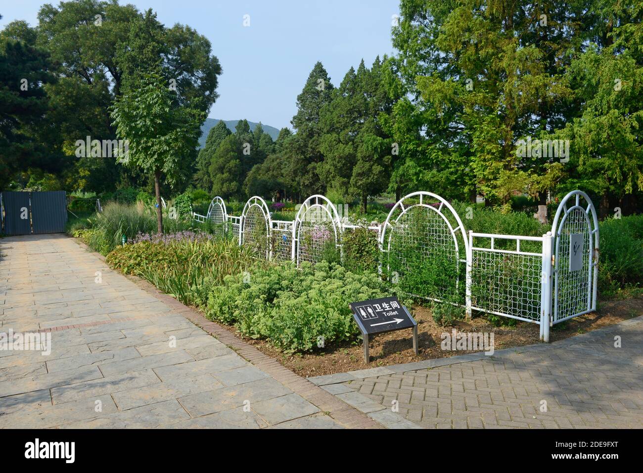 View of beds and herbaceous borders at the Beijing botanic garden in ...