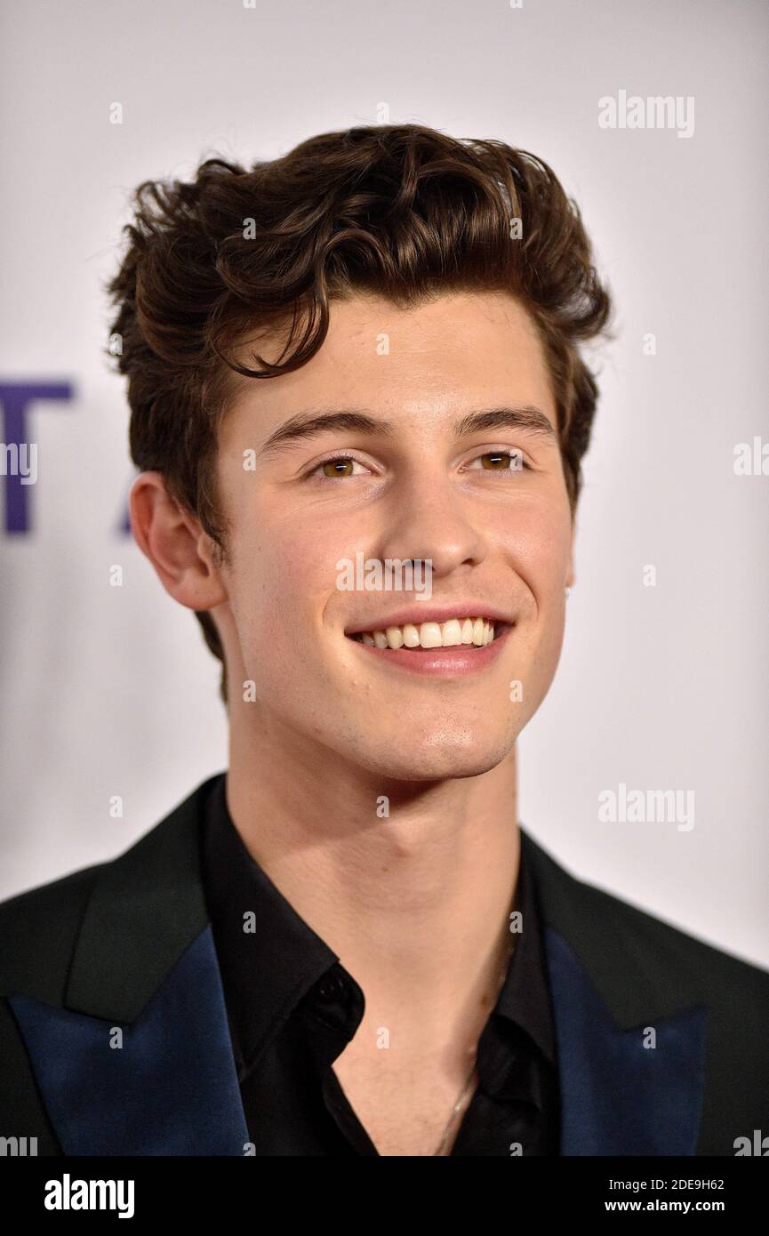 Shawn Mendes attends MusiCares Person of the Year honoring Dolly Parton ...
