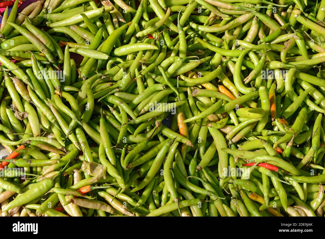 Chili peppers drying in sun hi-res stock photography and images - Alamy