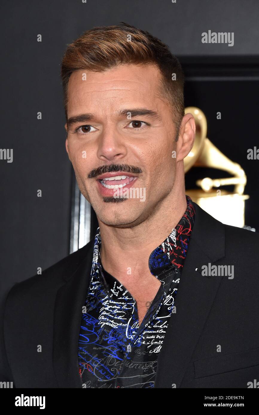 Ricky Martin attends the 61st Annual GRAMMY Awards at Staples Center on ...