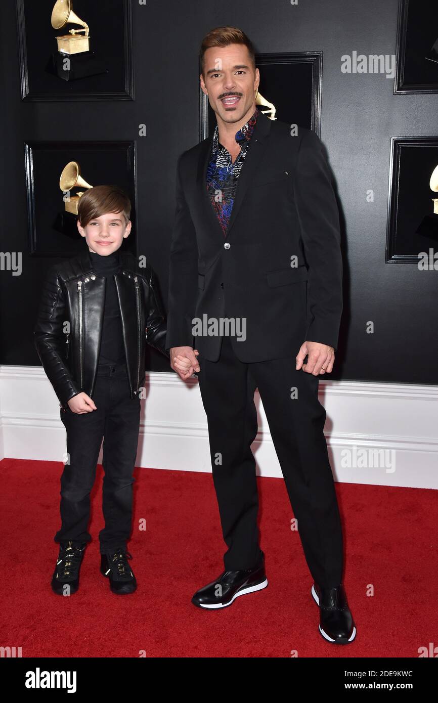 Ricky Martin attends the 61st Annual GRAMMY Awards at Staples Center on ...