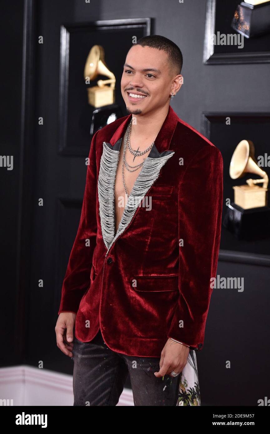 Evan Ross attends the 61st Annual GRAMMY Awards at Staples Center on ...