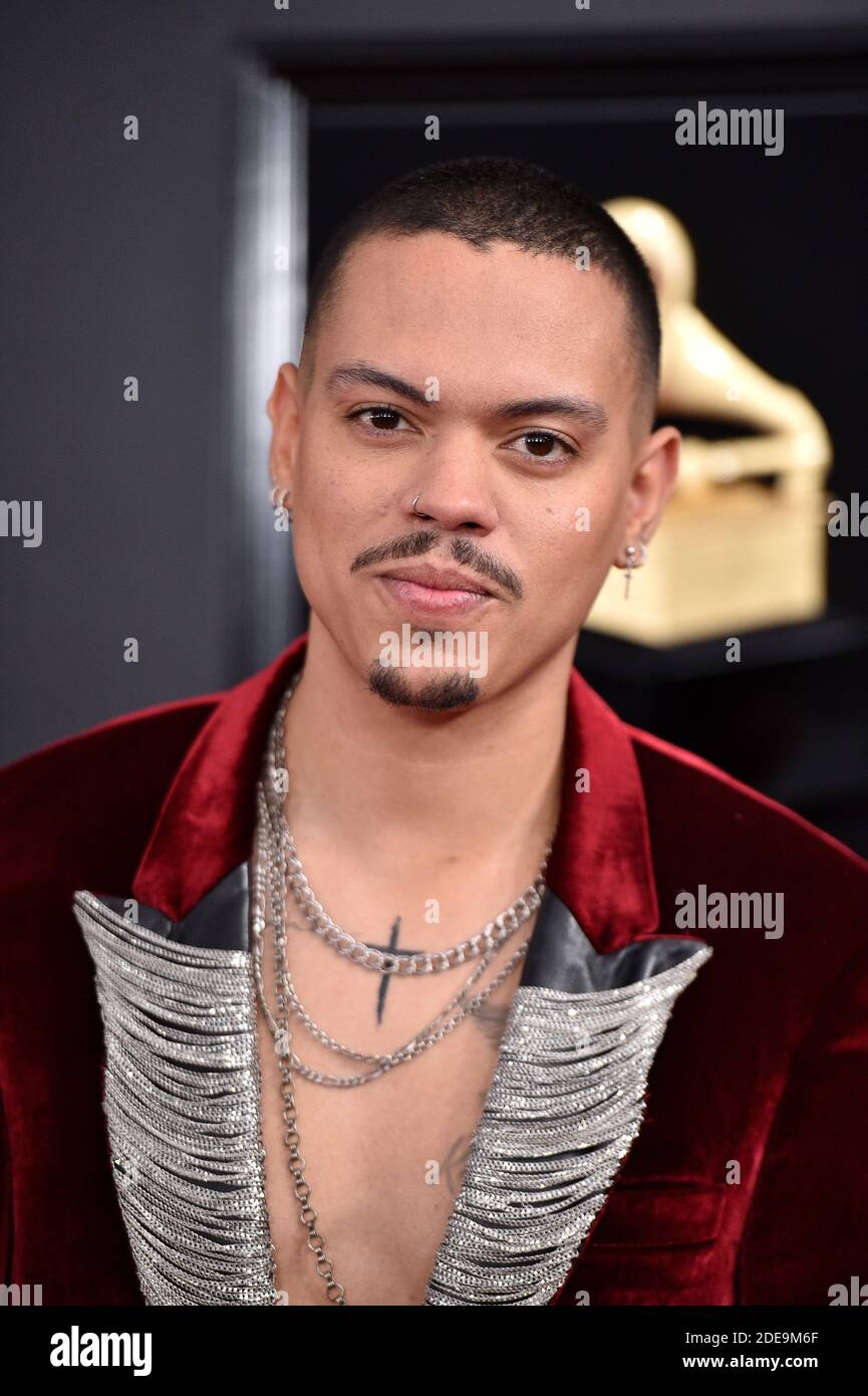 Evan Ross attends the 61st Annual GRAMMY Awards at Staples Center on ...