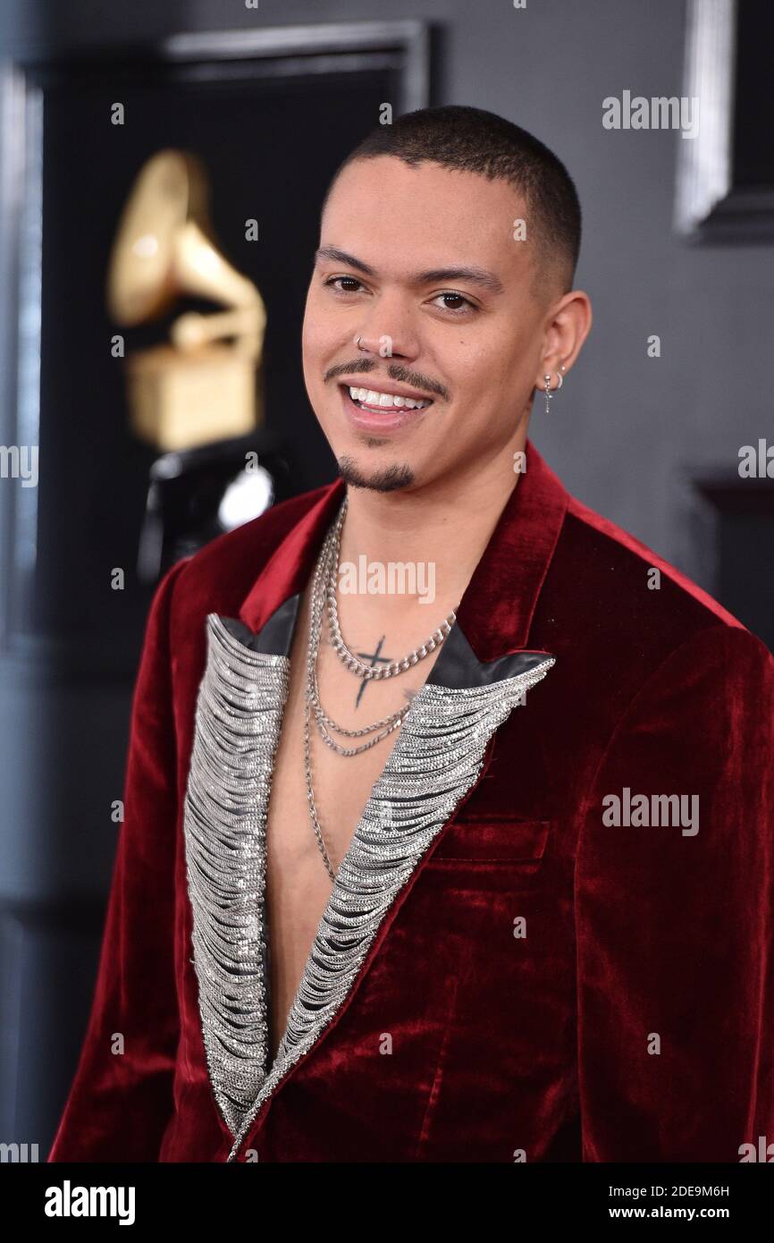 Evan Ross attends the 61st Annual GRAMMY Awards at Staples Center on ...