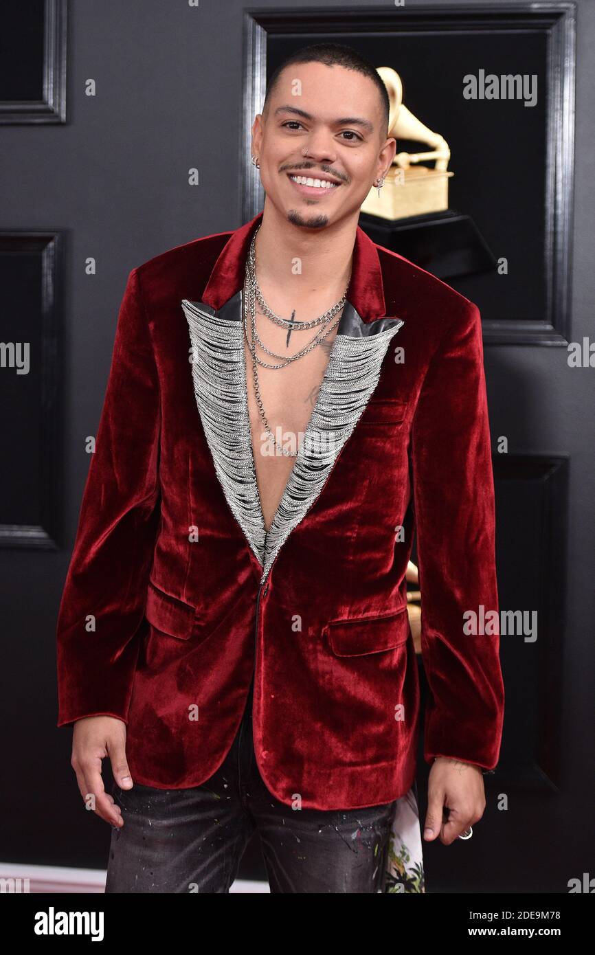Evan Ross attends the 61st Annual GRAMMY Awards at Staples Center on ...