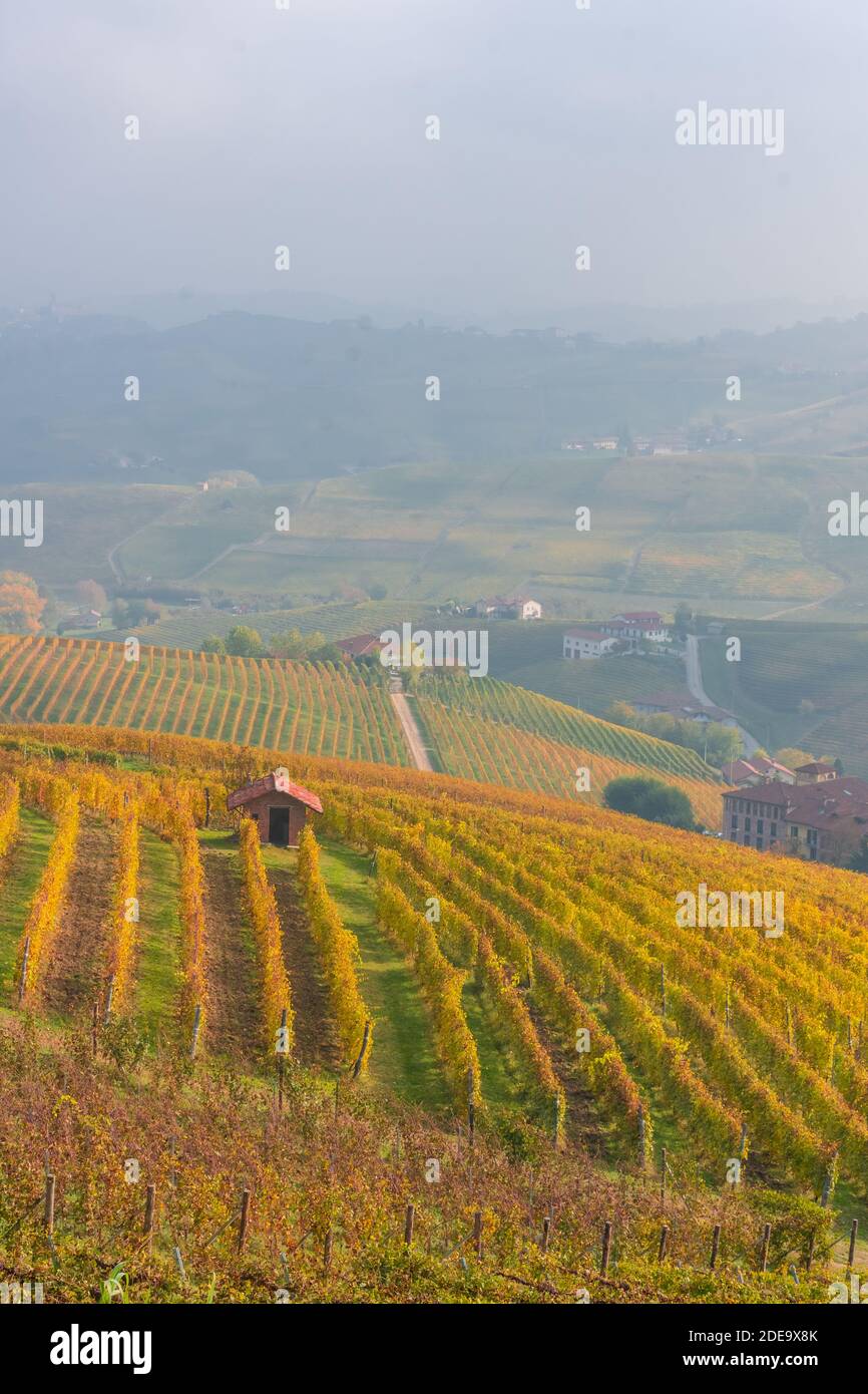 Amazing autumnal landscape in the Langhe, famous vineyard area in ...