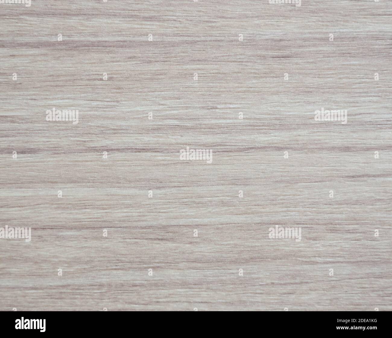 Light ash, a flat surface of natural wood, close-up on a cut ...