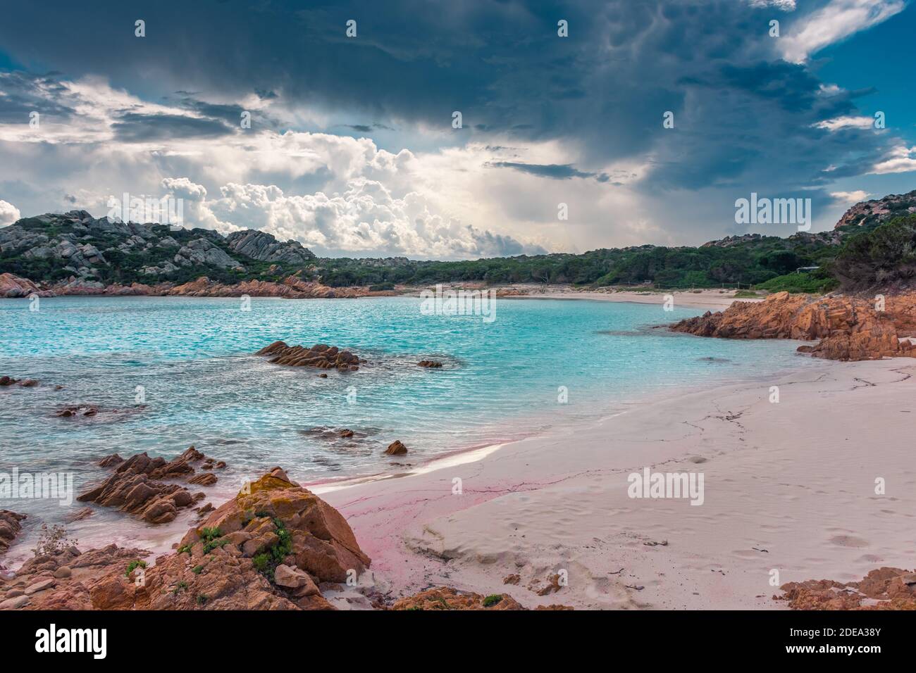 Amazing pink sand beach in Budelli Island, Maddalena Archipelago ...