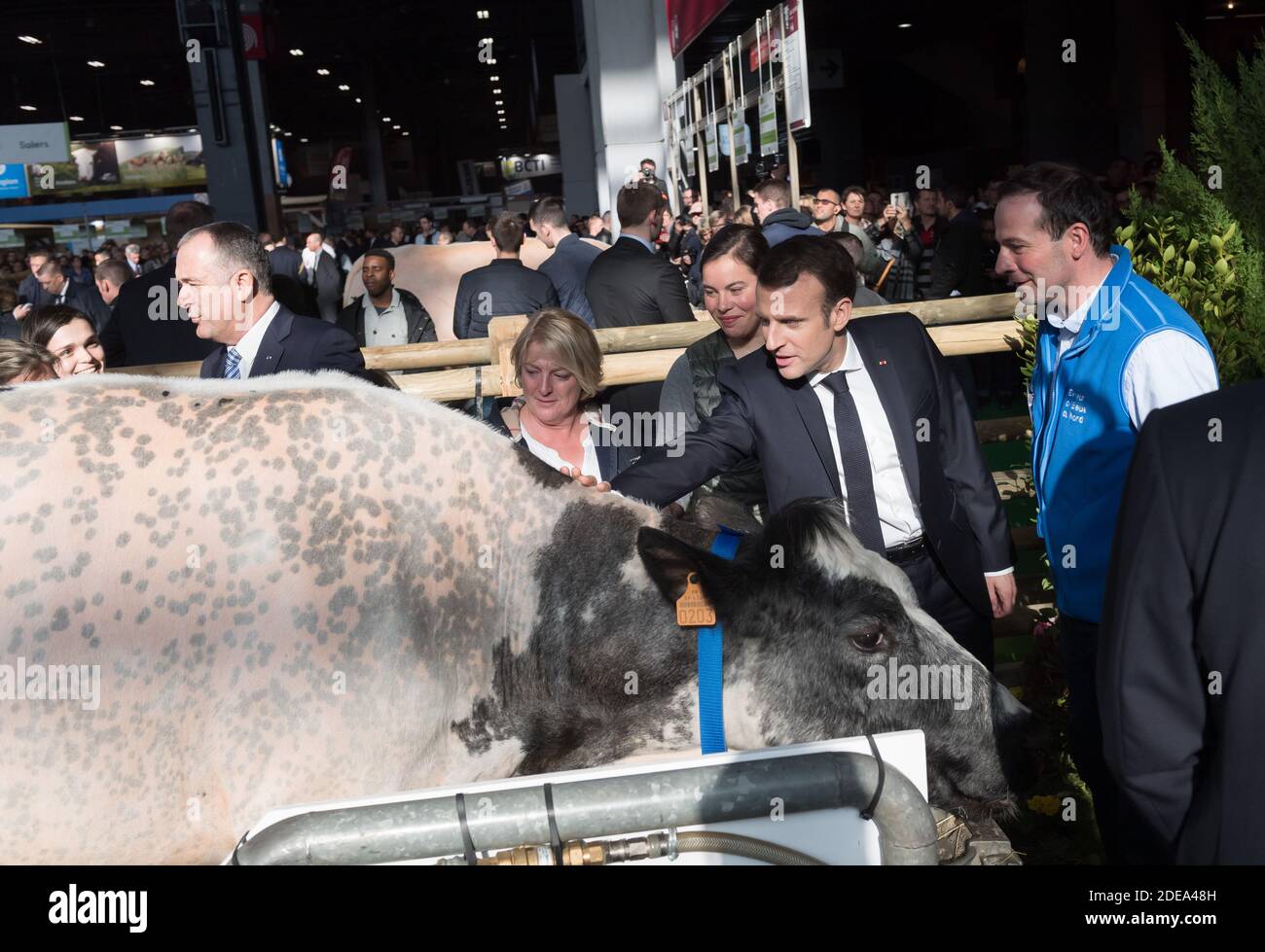 French President Emmanuel Macron touchs a cow during his visit at the ...