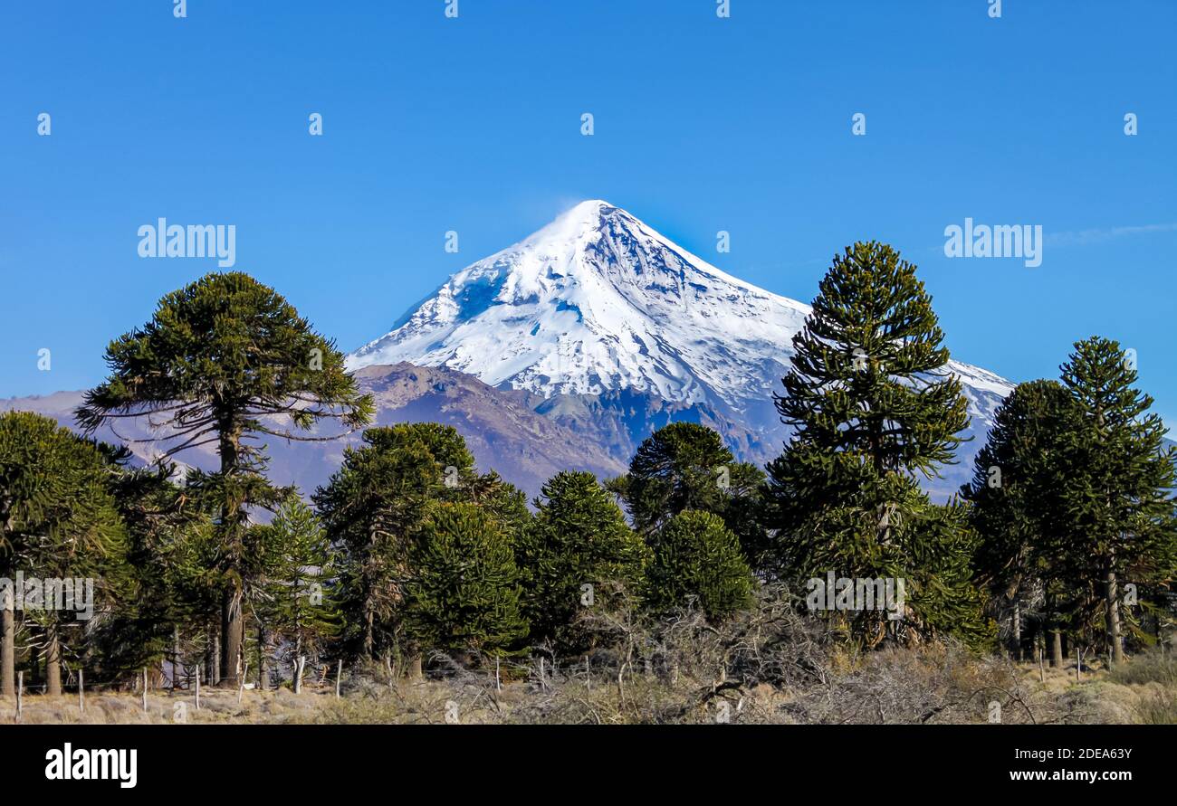 View of the Lanin Volcano from the road to Tromen Lake in Neuquen ...